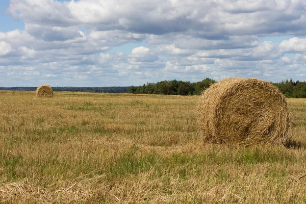 Agriculture straw gathered into a sheaf field harvest sky - Stock Image ...