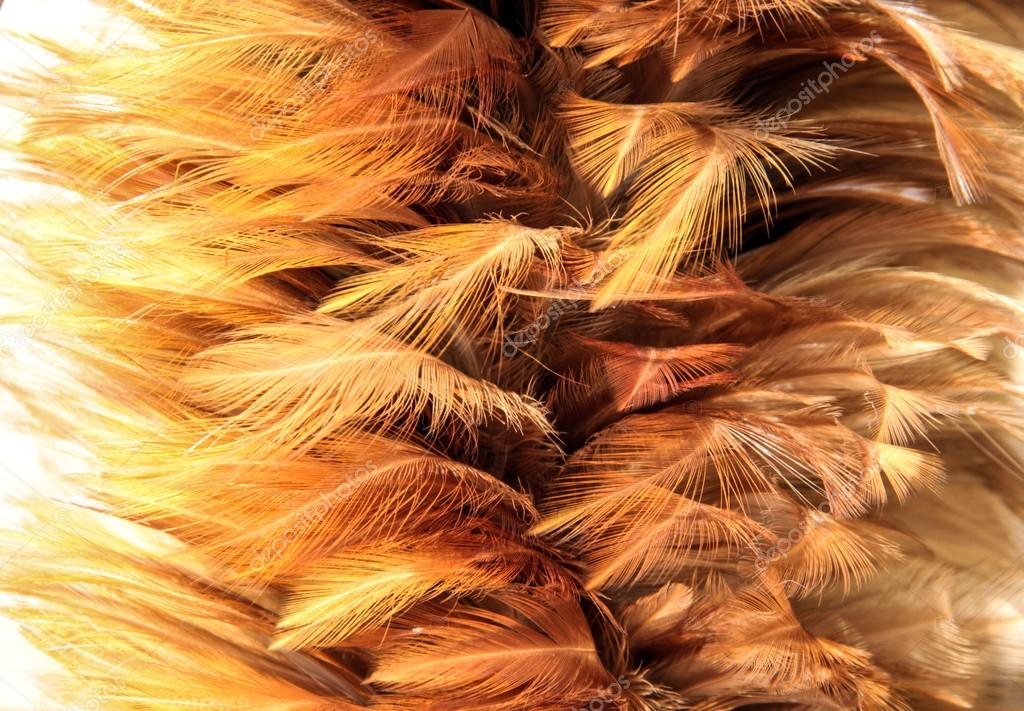 Gold fur from feather Stock Photo by ©yanukit 72465325