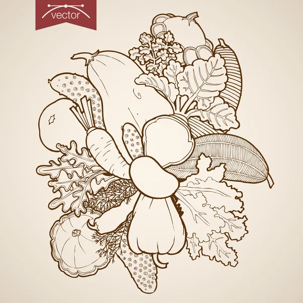 Pencil Sketch of vegetables Stock Vector Image by ©Sentavio #117601090