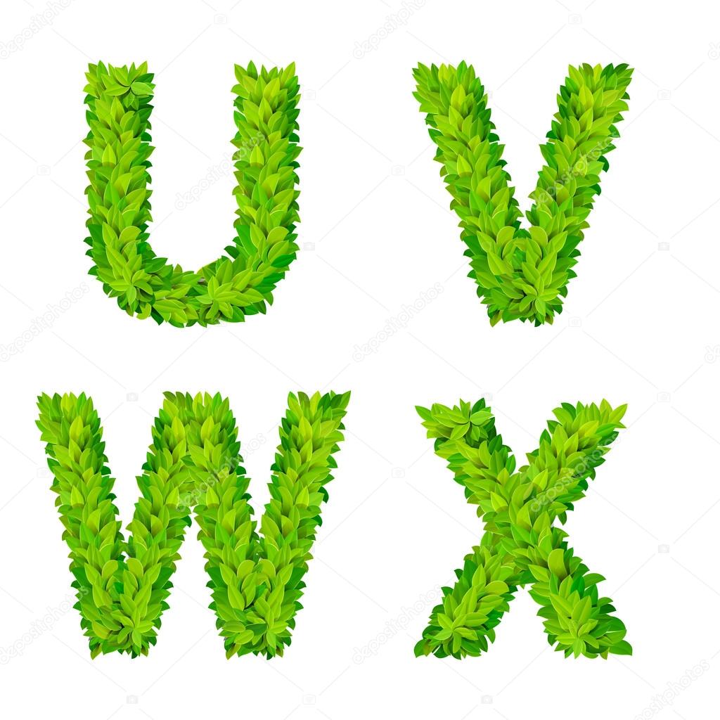 ABC grass leaves letters elements — Stock Vector © Sentavio #83140426