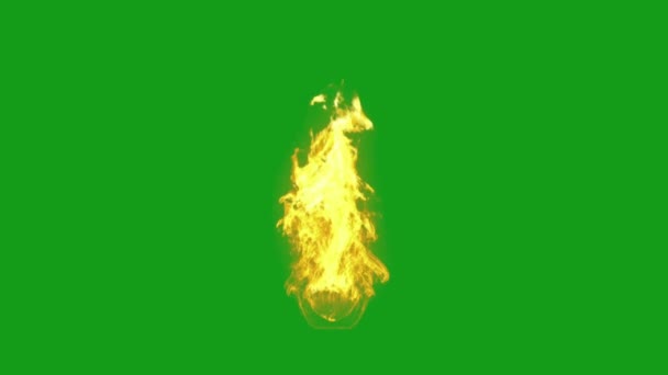 Raging Fire Green Screen Motion Graphics — Stock Video © ashwadreddy ...