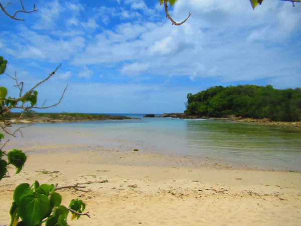 Fotos de Elly bay beach, Imagens de Elly bay beach sem royalties ...