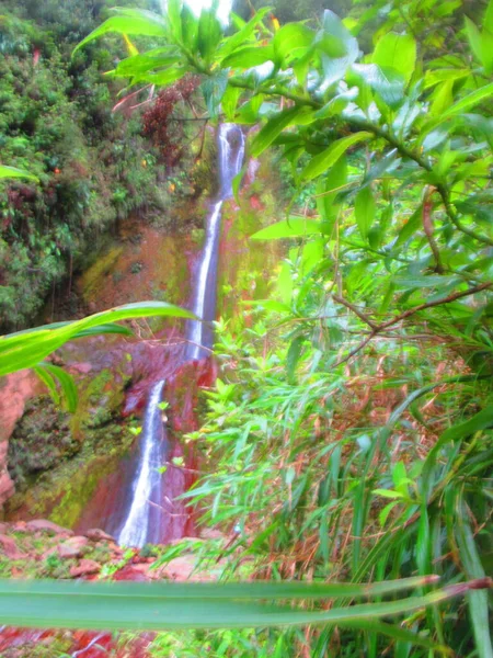 Red leaf waterfall Stock Photos, Royalty Free Red leaf waterfall Images ...