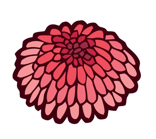 Vektoros rannunculus Vector Art Stock Images | Depositphotos