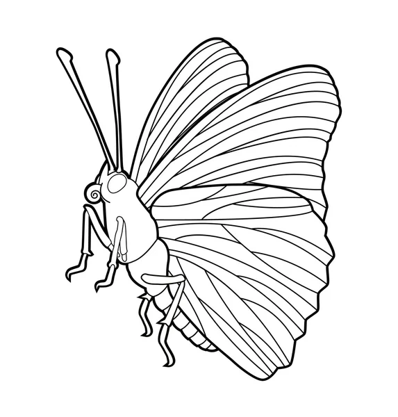 Cartoon stylized blue tarantula spider Stock Vector by ©AnnaSuchkova ...