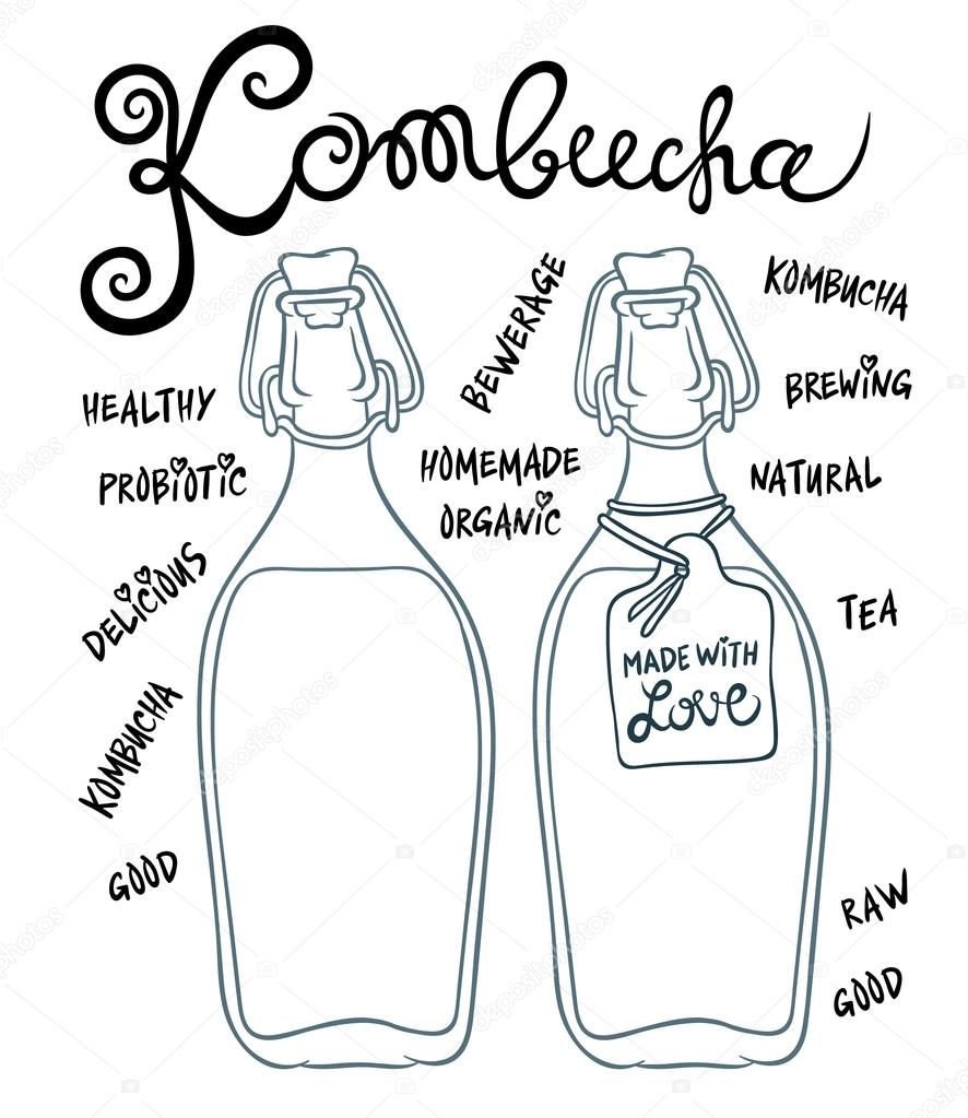 Kombucha in glass bottles — Stock Vector © AnnaSuchkova #84582634