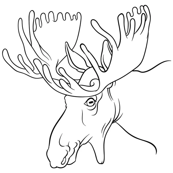 Moose Head Coloring Page