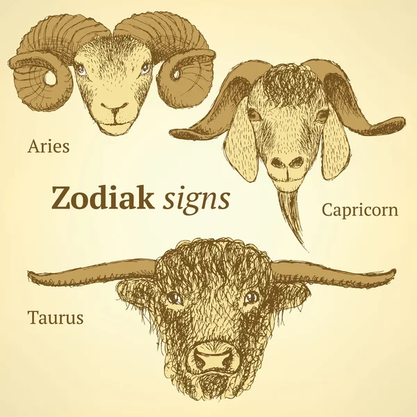 Sketch bull, goat and ram head in vintage style - Stock Image - Everypixel