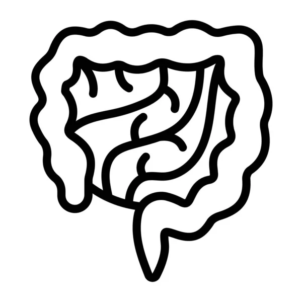 Ileum Vector Art Stock Images | Depositphotos