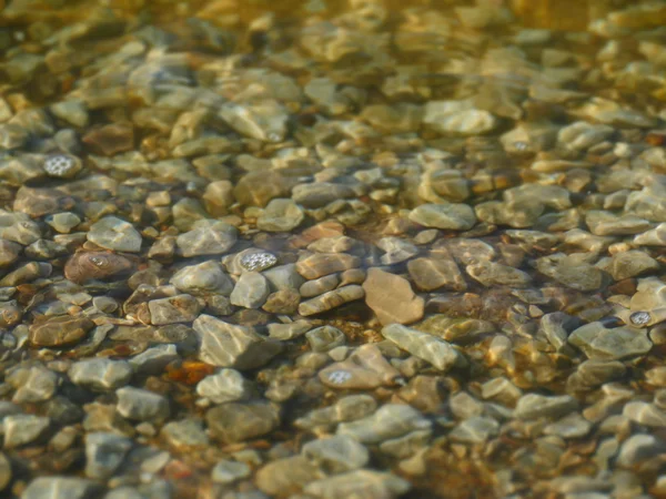 Riverstones Stock Photos, Royalty Free Riverstones Images | Depositphotos