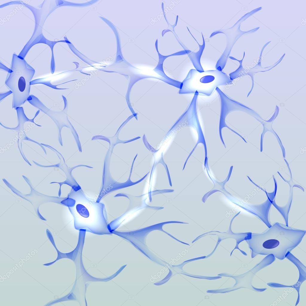 Diagram Of Neuron Anatomy Stock Vector Illustration Of Diagram Of Neuron Anatomy Stock Vector Illustration Of