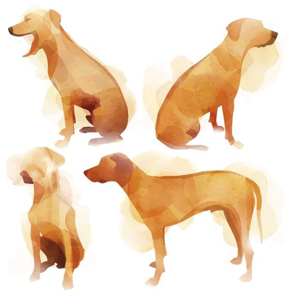 Rhodesian ridgeback Stockvectors, rechtenvrije Rhodesian ridgeback ...