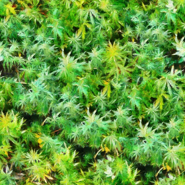 Marijuana art Stock Photos, Royalty Free Marijuana art Images ...