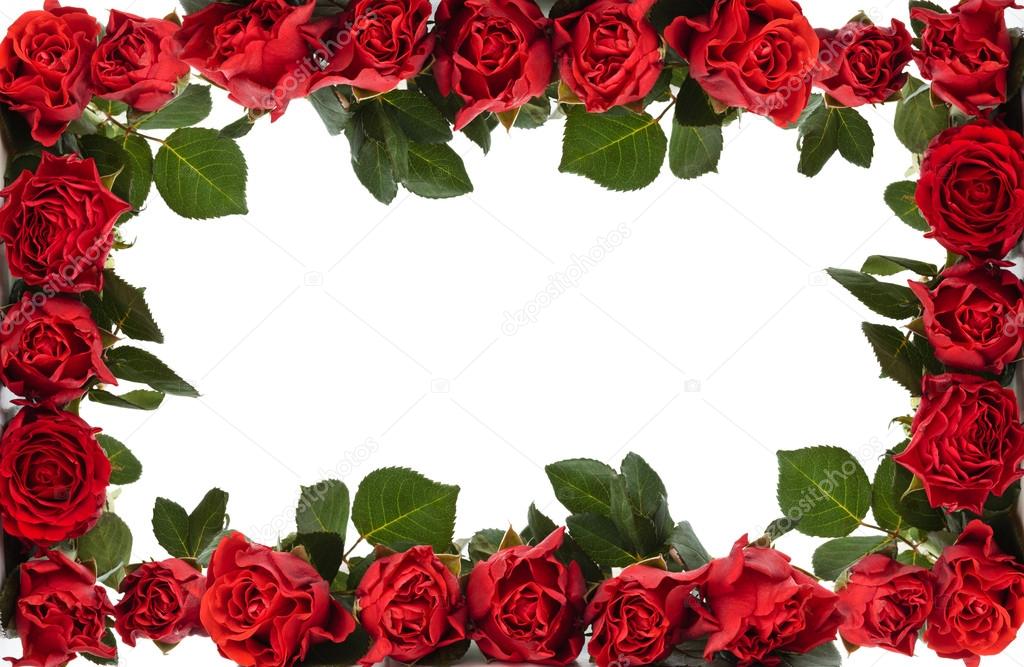Red roses frame. — Stock Photo © Vitaina #60197453 Red roses frame. — Stock Photo © Vitaina #60197453