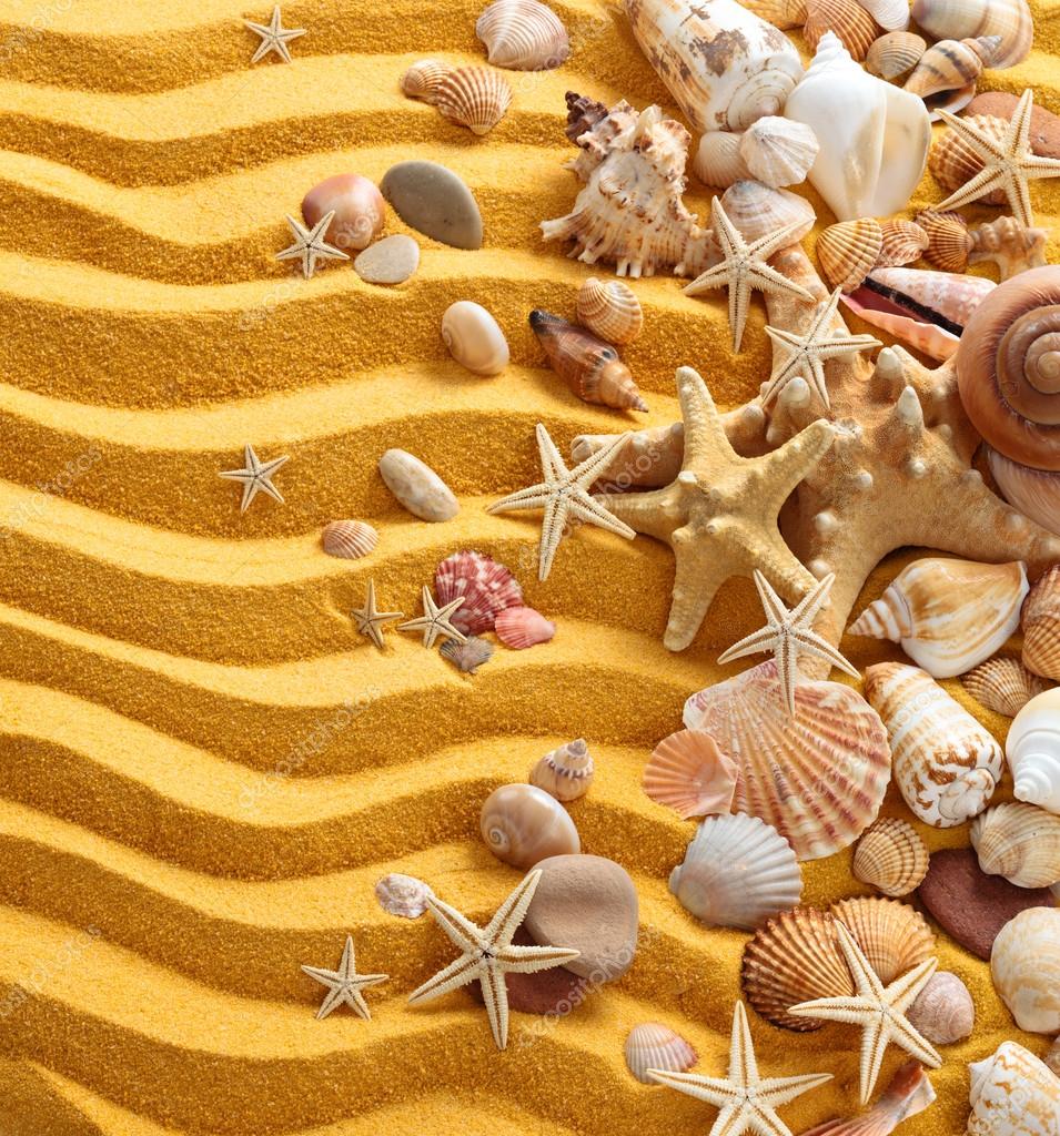 Yellow sand and seashells background. Stock Photo by ©Vitaina 64699219