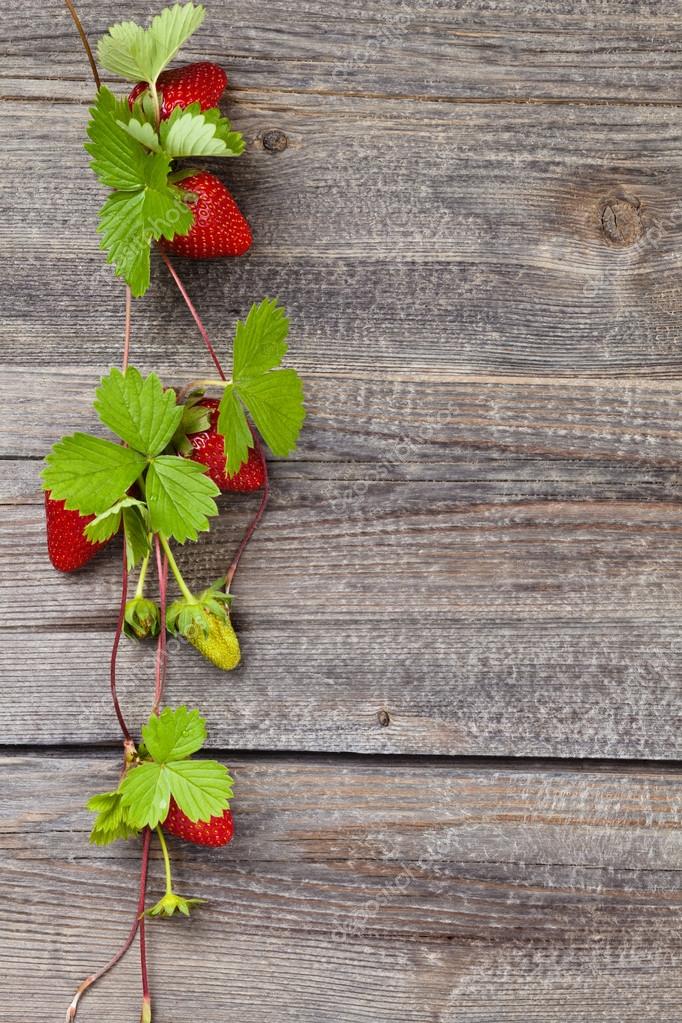 Border of fresh strawberries. — Stock Photo © Vitaina #76296045