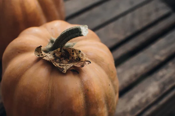Fall styled composition. Autumn still life. Scandinavian hygge concept ...