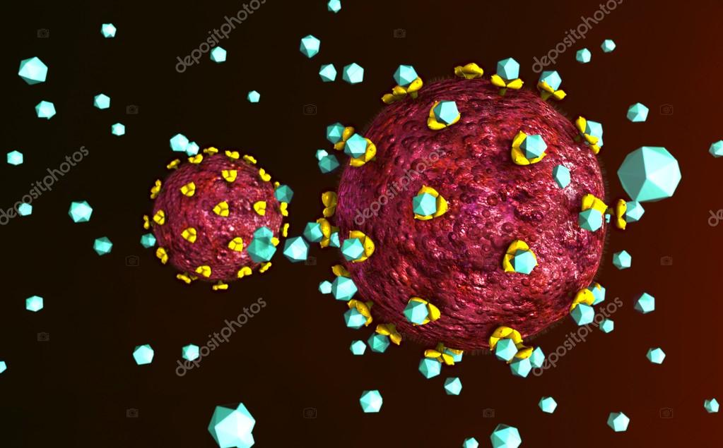 Hiv 3d Model