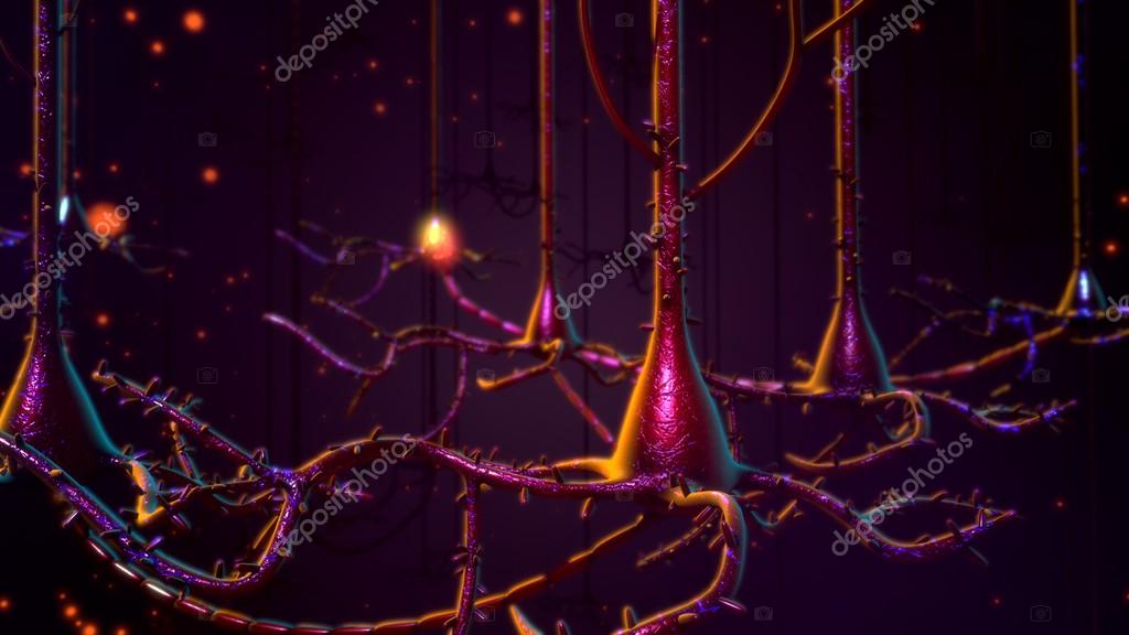 Human neurons system Stock Photo by ©sciencepics 110188248