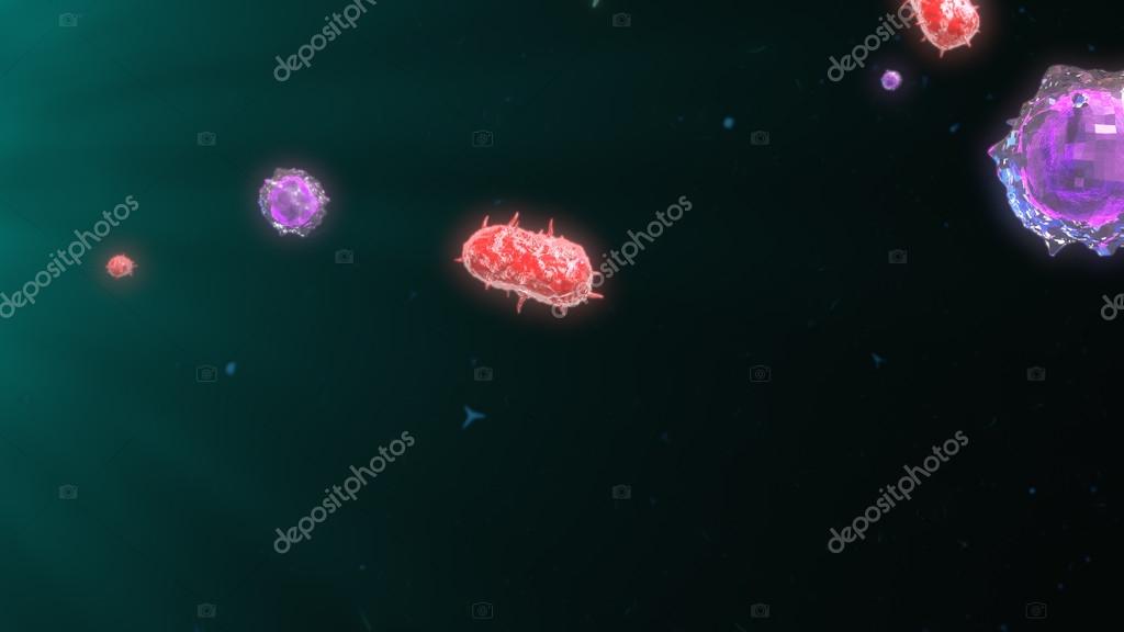 Bacteria attacking immune system Stock Photo by ©sciencepics 113477836