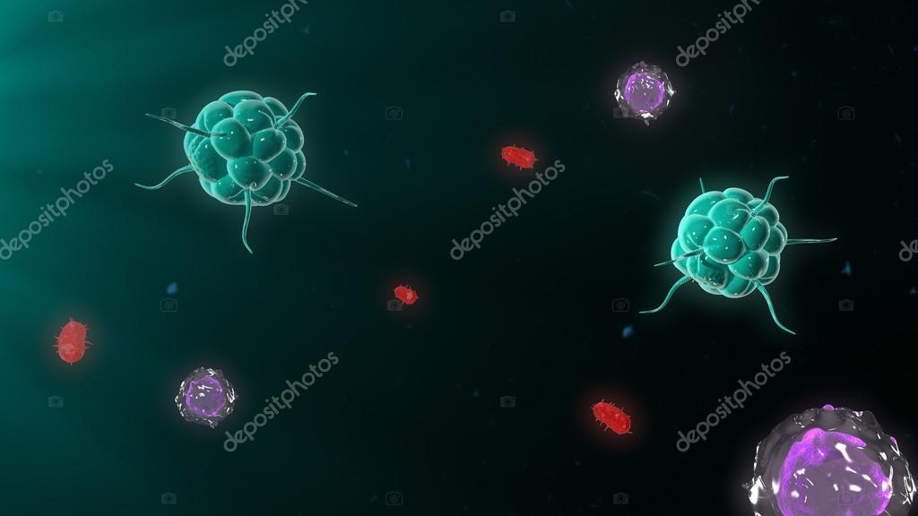 Bacteria attacking immune system Stock Photo by ©sciencepics 113477840
