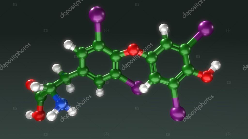 Imágenes: la hormona tiroxina | Estructura de la hormona tiroxina ...