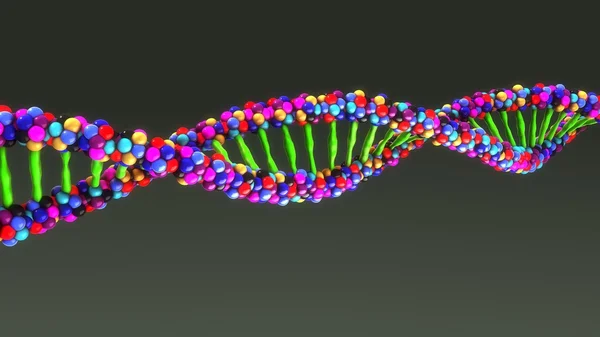 Human DNA molecule structure Stock Photo by ©sciencepics 123331704