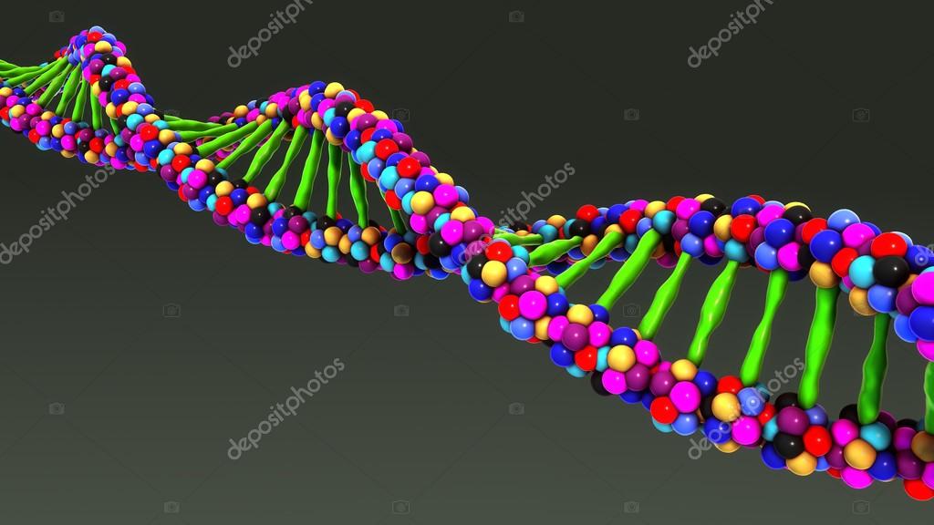 Human Dna Structure