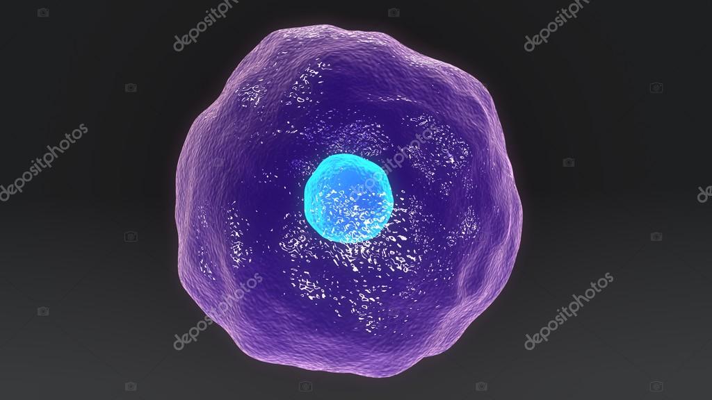 Human Cytotoxic T cell — Stock Photo © sciencepics #124251490