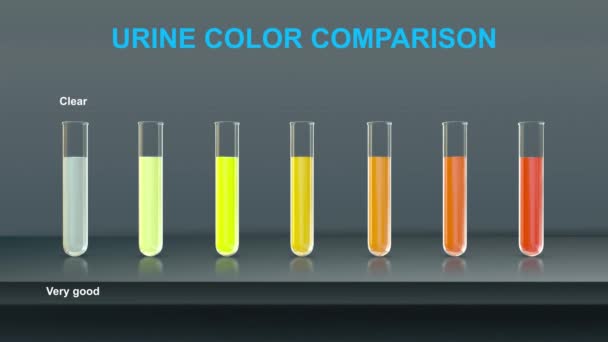 Urine Color Chart 1 Stock Vector Image by ©Sergey7777 #177626026