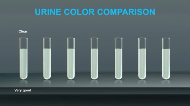 Urine Color Chart 1 Stock Vector Image by ©Sergey7777 #177626026