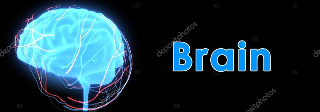 Brain — Stock Photo © sciencepics #54367829