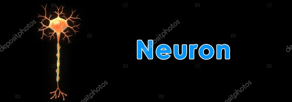 Neuron — Stock Photo © sciencepics #54368177