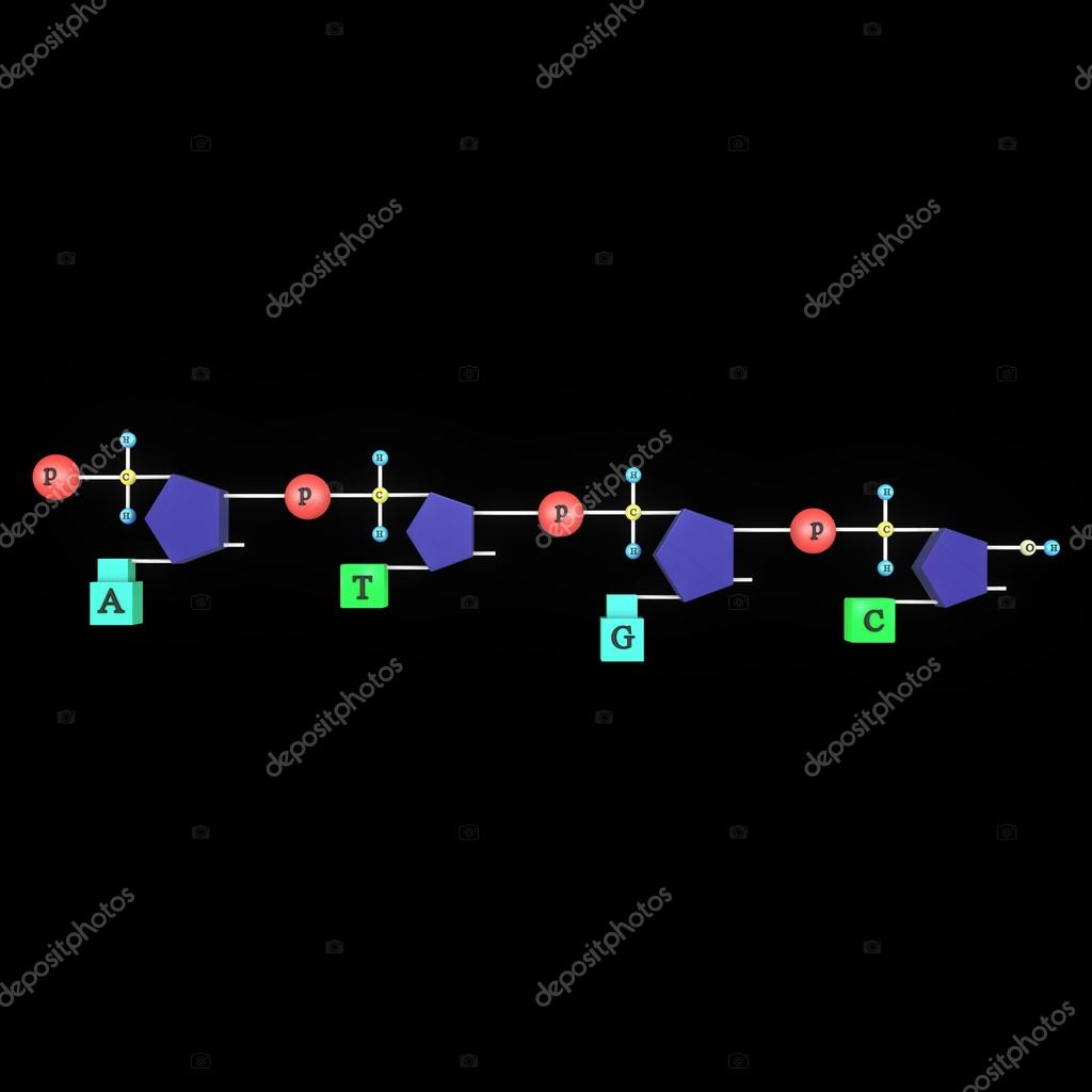 Polynucleotide chain — Stock Photo © sciencepics #59463459