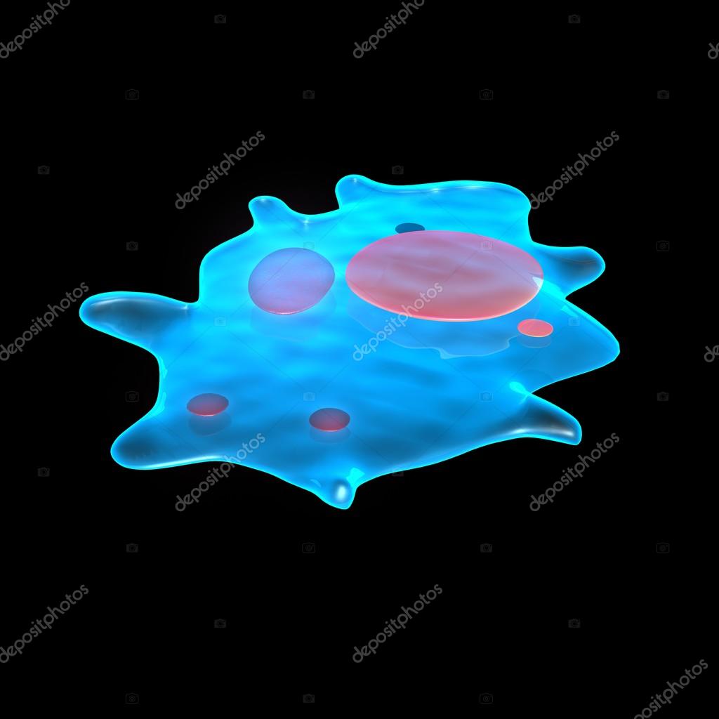 Ameoba — Stock Photo © sciencepics #66749281