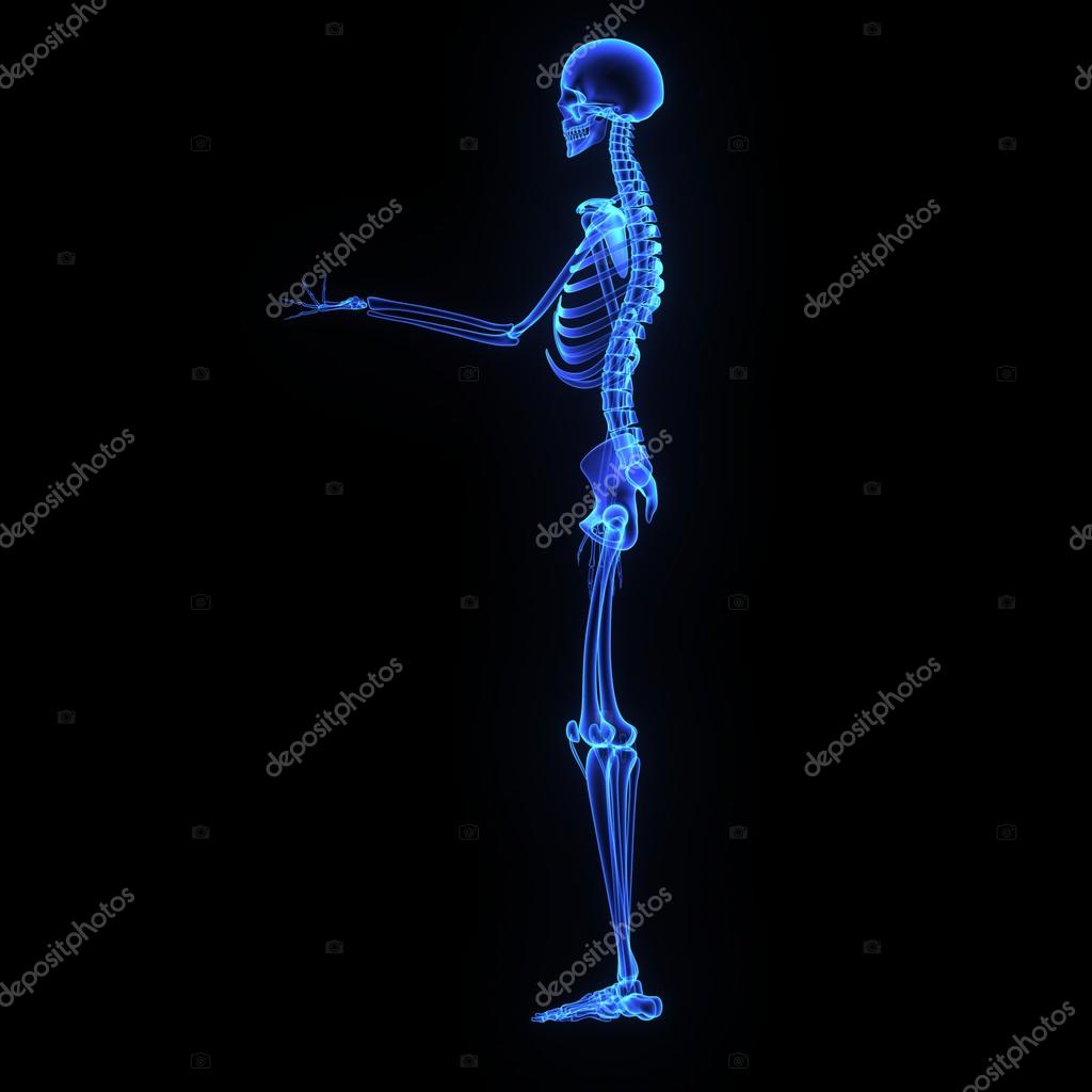 Hand joints Stock Photo by ©sciencepics 67958003