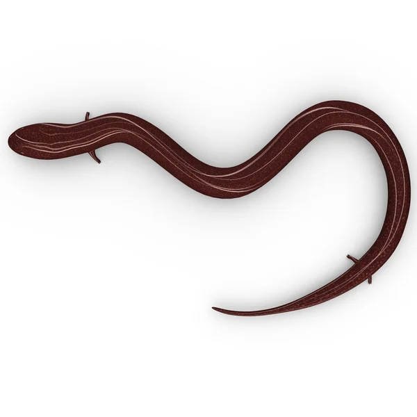 Скачать картинки Gancho de worm, стоковые фото Gancho de worm в хорошем ...