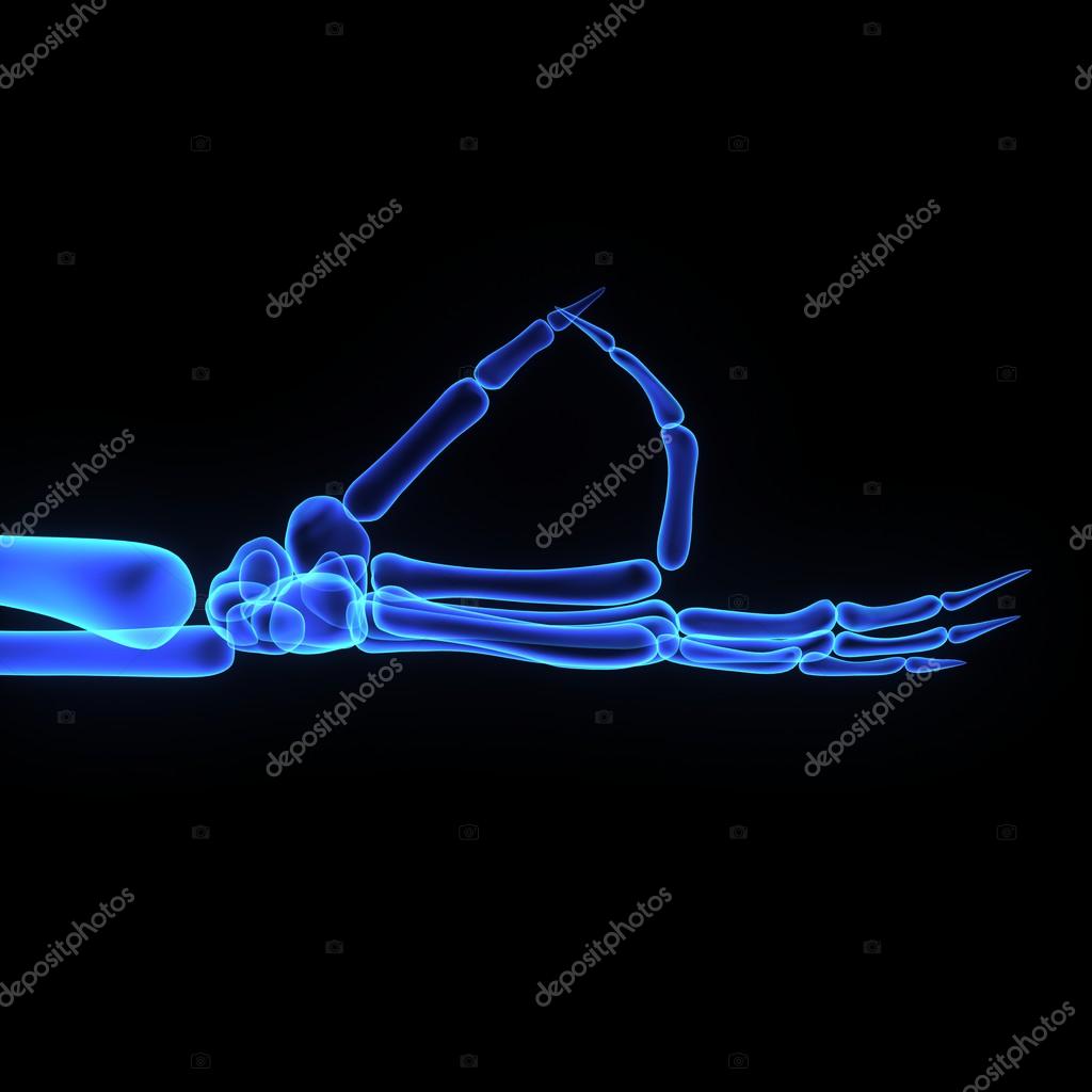 Wrist joint — Stock Photo © sciencepics #73312113