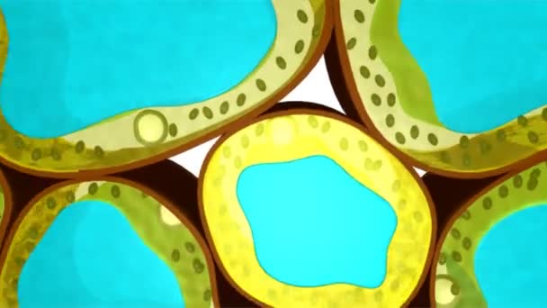 582 Histology Stock Videos, 4K & HD Footage | Depositphotos