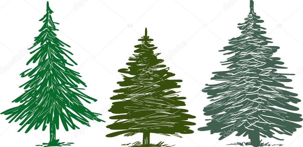 Fir trees sketches Stock Vector by ©alekseimakarov 89808606