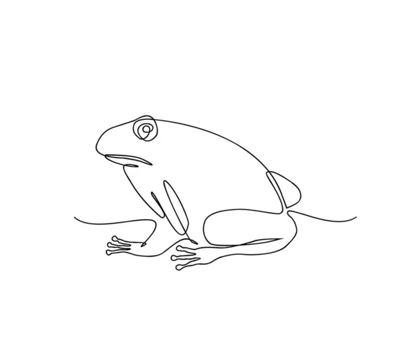 14,665,187 Line drawing frog Vector Images | Depositphotos