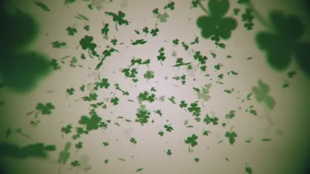 2,634 Shamrock Videos, Royalty-free Stock Shamrock Footage | Depositphotos