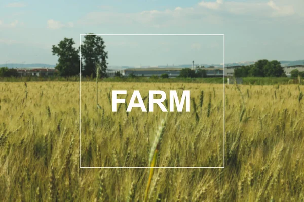 About farms fotos de stock, imágenes de About farms sin royalties ...