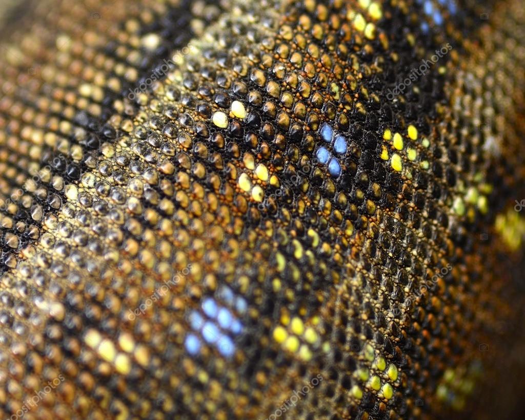 Blue Lizard Skin Texture