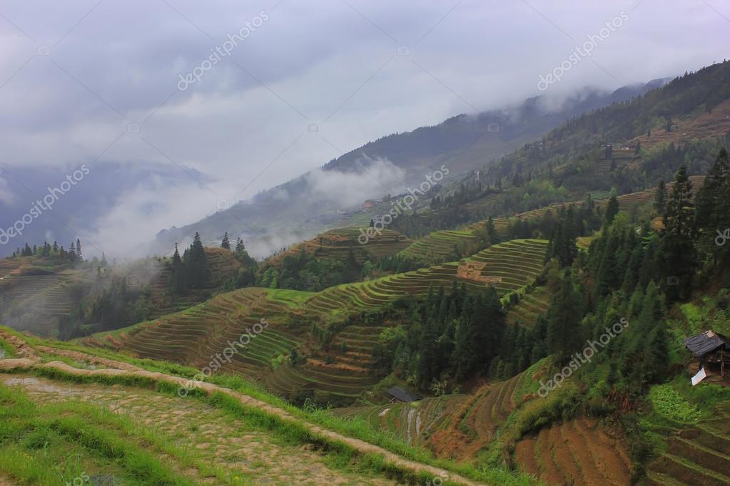 Rice terraces , China Stock Photo by ©Pashtett 56269681