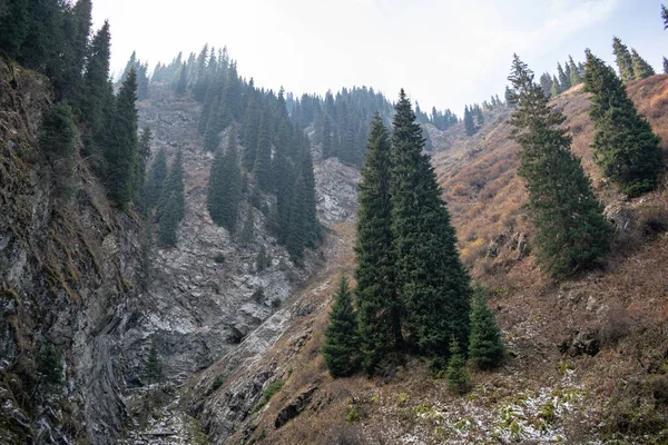 Deforestation himalayas Stock Photos, Royalty Free Deforestation ...