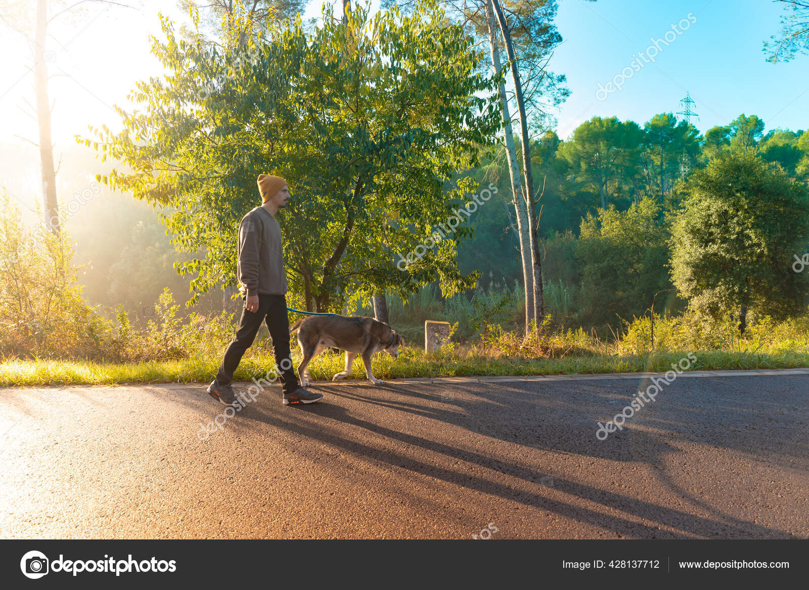 Young Handsome Man Walking His Dog Nature Rays Morning Autumn Stock ...