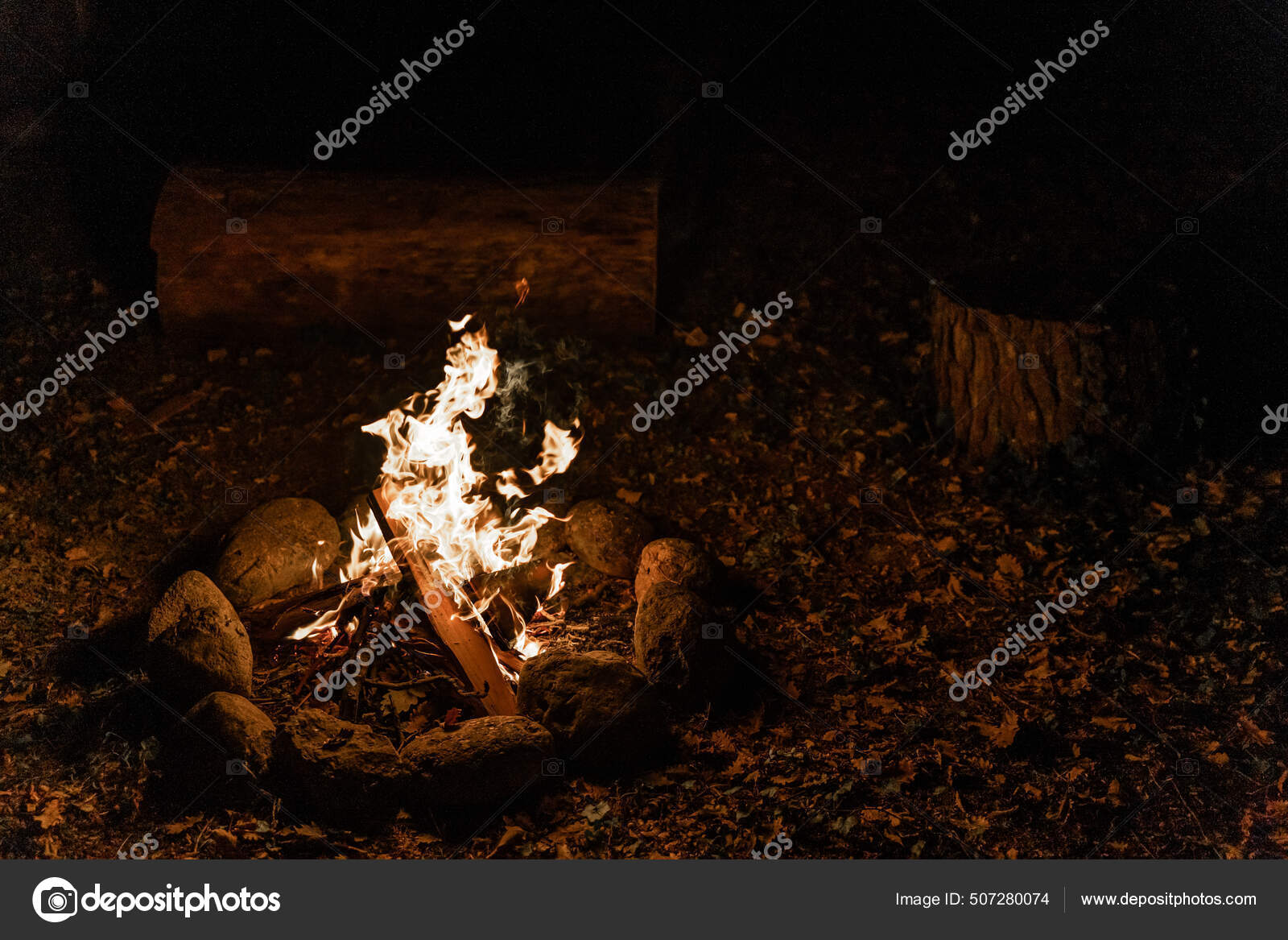 Warm Cozy Campfire Forest Pond Fire Vacations Camping — Stock Photo ...