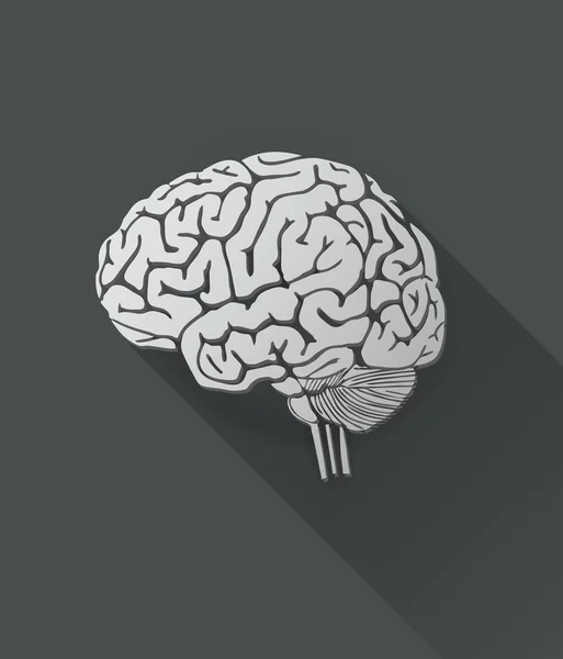 The concept of thinking.background with brain Stock Vector Image by ...