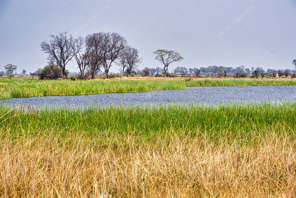 Humedales de Okavango, Delta del Okavango, Patrimonio de la Humanidad ...